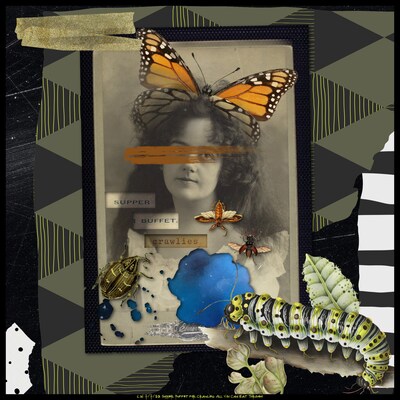 Frogs Ephemera, Junk Journals, Printable Paper Crafts, Scrapbooking ...