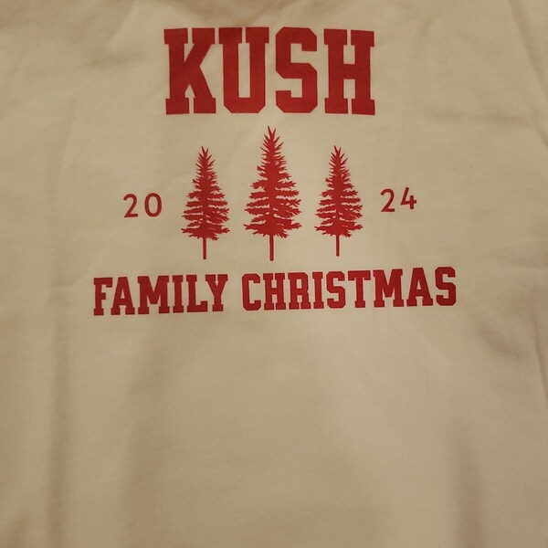 Custom Family Christmas Shirts, Comfort Colors® Matching Family ...