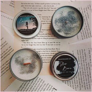 Zodiac Academy Art Prints the Vega Twins Darius Acrux Lance Orion Caleb ...