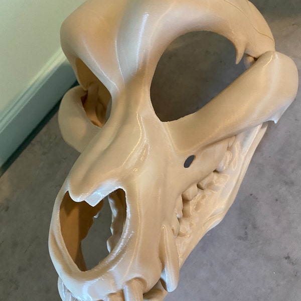 Canine Skull Dog 3D Printed Fursuit Head Base Kit - Etsy