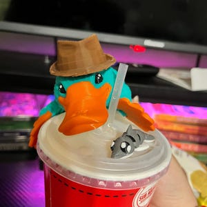 Large Articulated Platypus 3D Printed Figure With Removable Hat ...