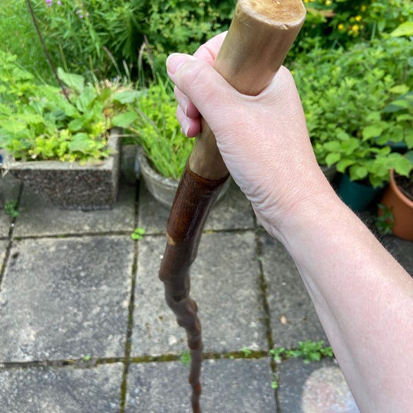 Hazel Staff With Stripped Handle and Red Cord Wrist Strap - Etsy UK