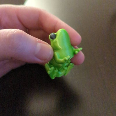 Fidget Frog Fidget Toy, Articulated Sensory Toy, Tiny Frogs, Flexible ...