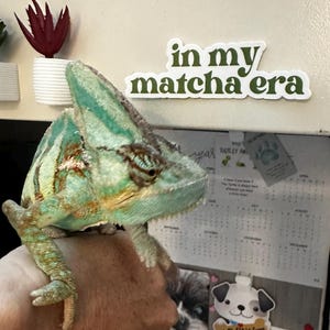 Excel Birthday Card Excel Nerd // Funny Excel Gift // Statistics ...