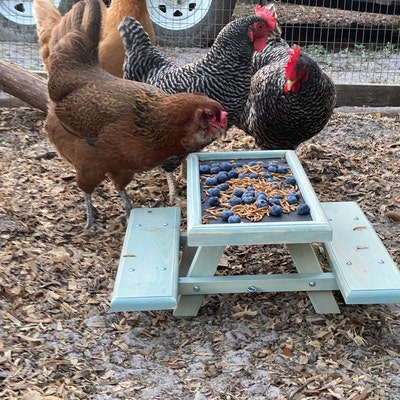 Chicknic Table Chicken Picnic Table - Etsy