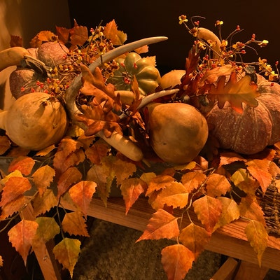 15 Quality SMALL Egg Gourds Dried & Cleaned - Etsy