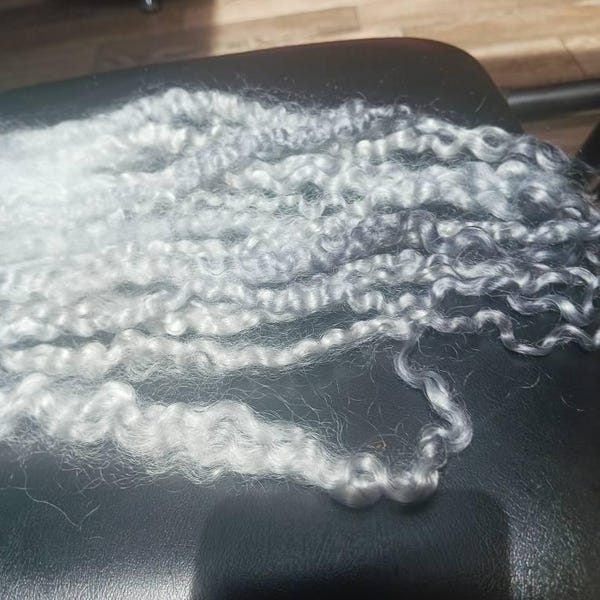Natural Undyed Curly Wool Locks, (v) Teeswater X Wensleydale 6" 10g or ...
