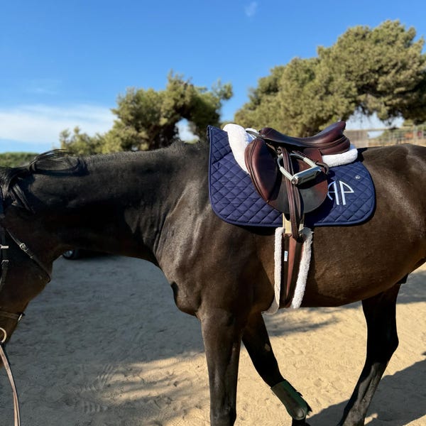 Custom Engraved SILVER Tack, Bridle, Martingale Plate, Horse Tack Plate ...