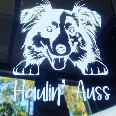 Australian Shepherd Svg, Dog Svg Files for Cricut, Mini Aussie Face ...