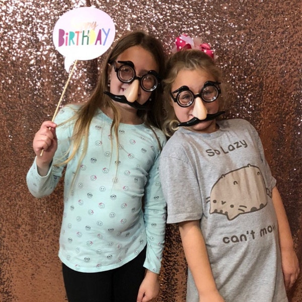 Sequin Photo Backdrop, Sequence, Wedding Photo Booth, Photography ...