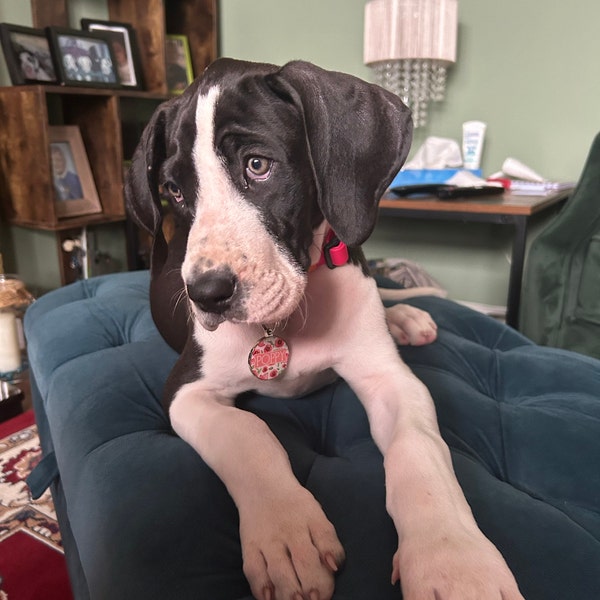 Poppy Dog Tag, Flower Pet Tag, Dog Name Tag | Personalised Pet Tag - Etsy