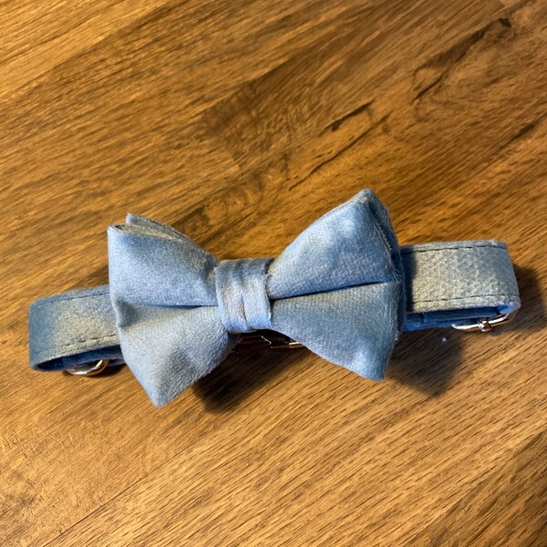 Fancy Dusty Blue Velvet Puppy Collar Leash Set,personalized Dog Collar ...