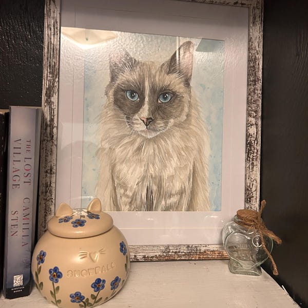 Forget Me Not White Pet Urn, Ceramic Urn for Ashes, Simple Pet Urn - Etsy