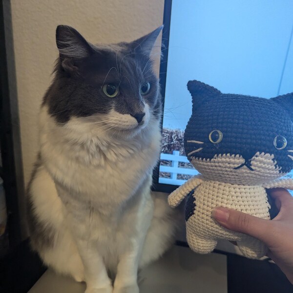 Custom Cat Plush, Custom Stuffed Cat, Cat Stuffed Animal, Custom ...