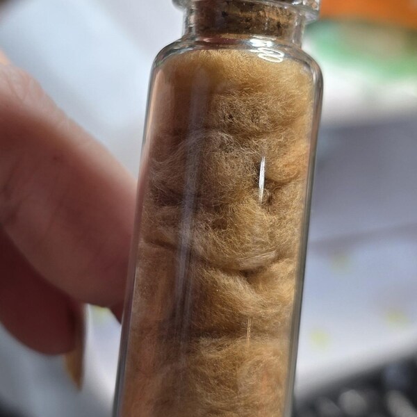 Real Moose Pellet in Glass Vial, Moose Poop, Animal Dung, Weird Gift ...