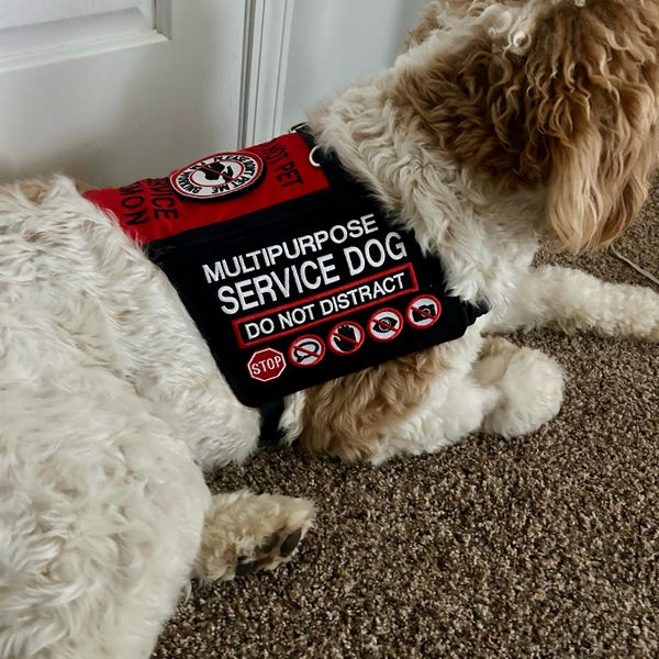 Vest adjustable Size, in Training Do Not Approach, Light Weight Sd ...