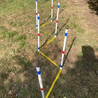 Dog Agility Equipment Weave Pole Guide Wires for 12 Weave - Etsy Australia