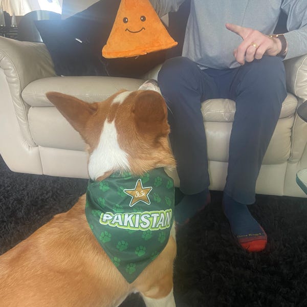 Samosa Plush Chew Toy for Pets - Etsy