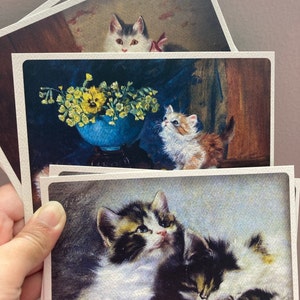 Funny & Sassy Congratulations Cards 24 Note Cards With - Etsy