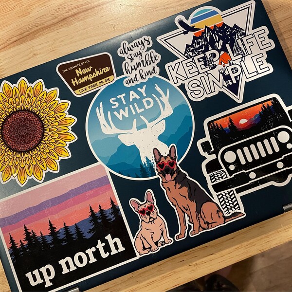 Lizzie Mcguire Sticker Cute Sticker Glossy Sticker Waterproof Sticker ...