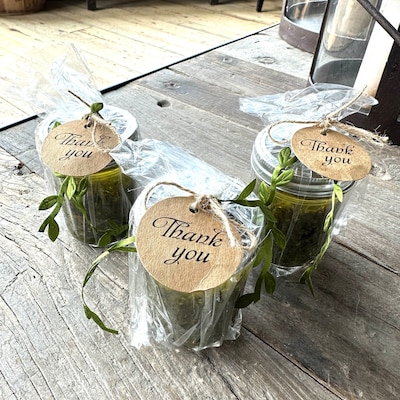 Dolmathes stuffed Grape Leaves - Etsy