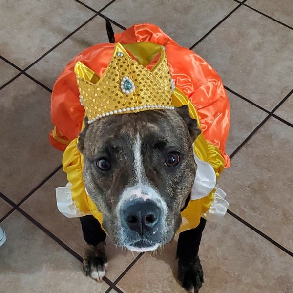 Princess Daisy Dog Costume: Mario Kart Pet Dress With Crown - Etsy