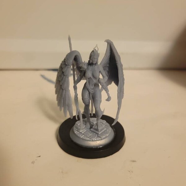 Succubus General - Demon Guard - Temptress Barbarian - Winged Valkyrie ...