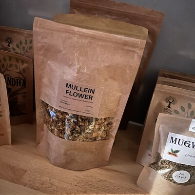 Japanese Knotweed Root Reynoutria Japonica Natural Herbal Tea Fallopia ...