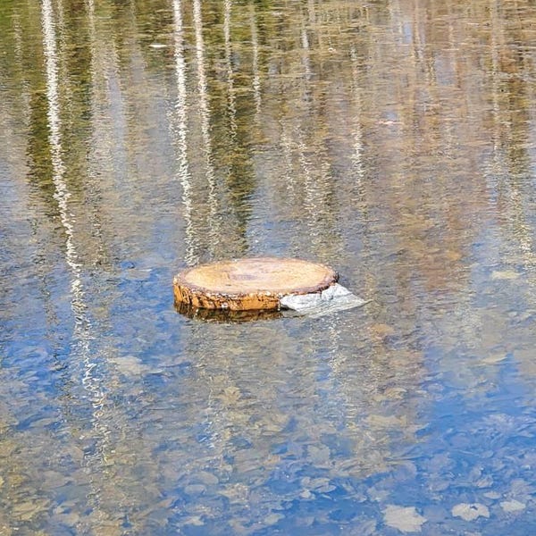 Large Platform, Floating Log Slice, Faux Stone Pond Raft, Painted ...