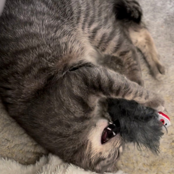 Loch Ness Monster Catnip Cat Toy - Etsy