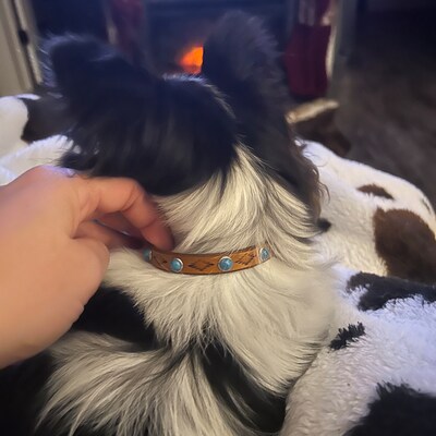 Cattle Sorter, Cow Counter, Cattle Counter, Cowgirl Accessories, Farm ...