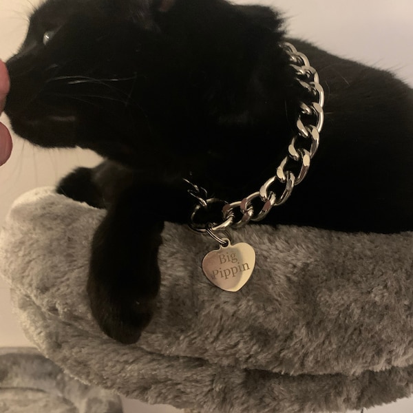 Chain Cat Collar, Medium Cuban Link Cat Necklace, Lightweight Cat ...