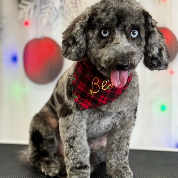 Medium Dog Coat PDF Pattern/tutorial - DIY Dog Jacket - Medium ...