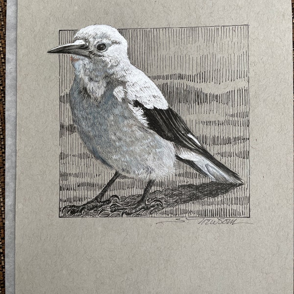 MATTED ORIGINAL Art/bunny Rabbit Drawing in Pen and Ink W/white Colored ...