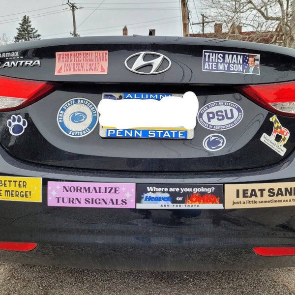 I Eat Sand! Just a Little Sometimes as a Treat! Funny Bumper Sticker - Etsy