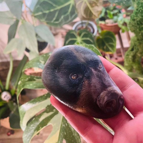 Lion Stone | Animal Rock Art | Paperweight - Etsy