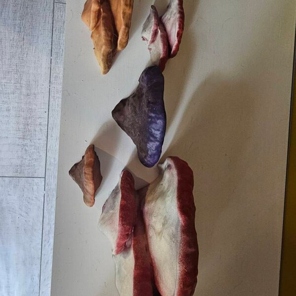 Snail Core Bowl, Unique 3D Printed Decor, Spiral Design, Artistic ...