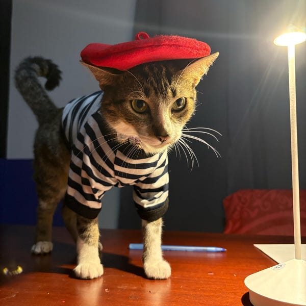 Complete French Cat Outfit- Cat Beret, Ascot and Striped Shirt Pet ...