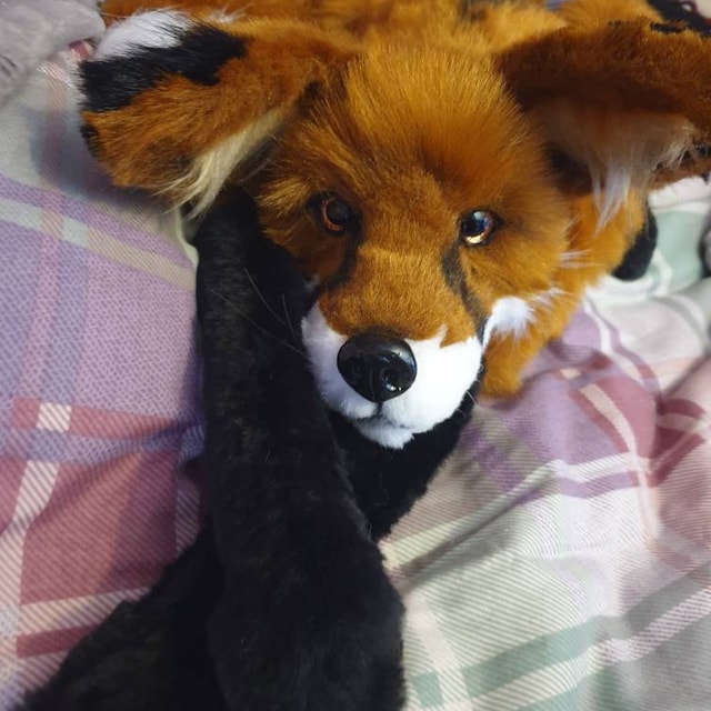 Handmade plush toys by Viki by Vikirealisticdog on Etsy