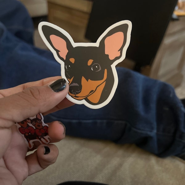 Nintendo Super Mario Inspired Min Pin Brothers Miniature Pinscher Large ...
