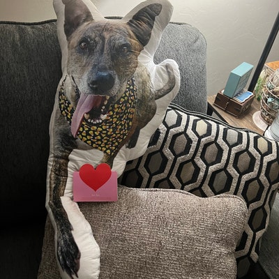 Photo Customization DIY Dog Cushion Pet Plush Toys Dolls Stuffed Animal ...