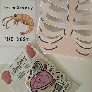 OB/GYN Pun Stickers Pediatrician, Gynecologist, Obstetrician Water ...