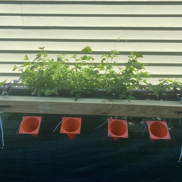 Quail Pop Dispatcher - Etsy