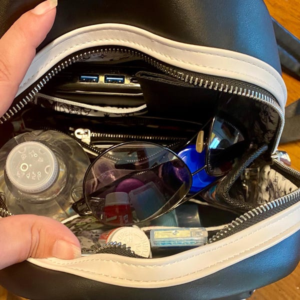 Mini Backpack Organizer Transferable Insert for Loungefly - Accessory ...