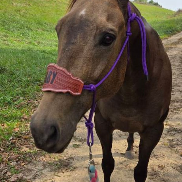 Custom Hand Carved Leather Bronc Noseband With Yacht Rope Halter - Etsy