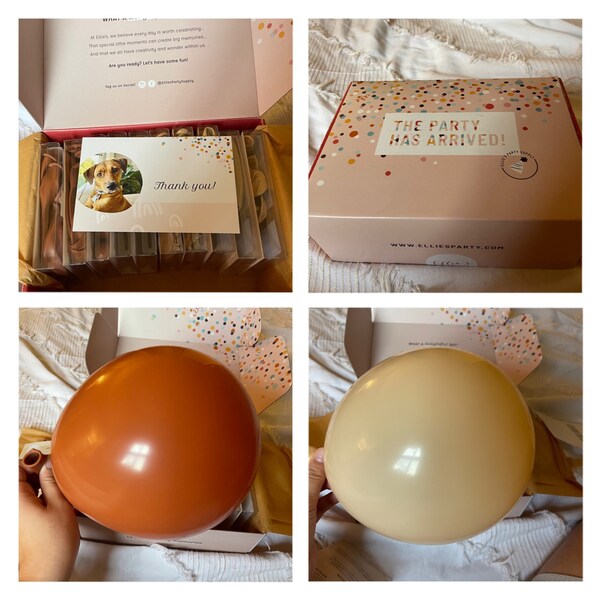 Boho Balloons, PREMIUM Quality Matte Birthday Party Balloons, Bridal ...