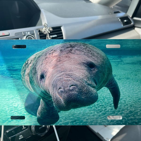 Manatee License Plate With Custom Background Options - Etsy