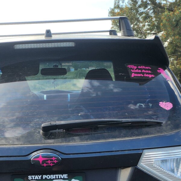 Bumper Sticker for Dad Funny Car Decal With Rude Quote Van Decal for ...