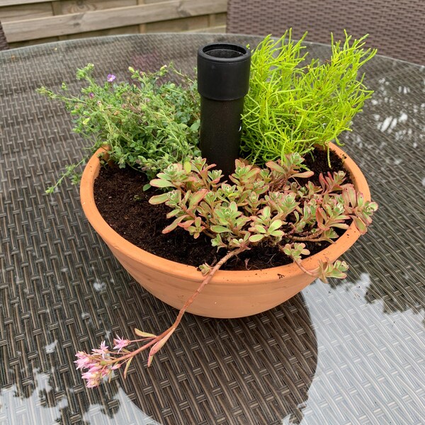 Terracotta Parasol Planter Pot - Etsy