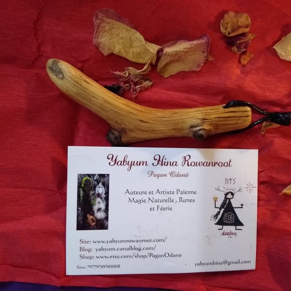 Sami Shaman Necklace Pagan, Norse, Lapland, Ethnic, Goddess, Natural ...